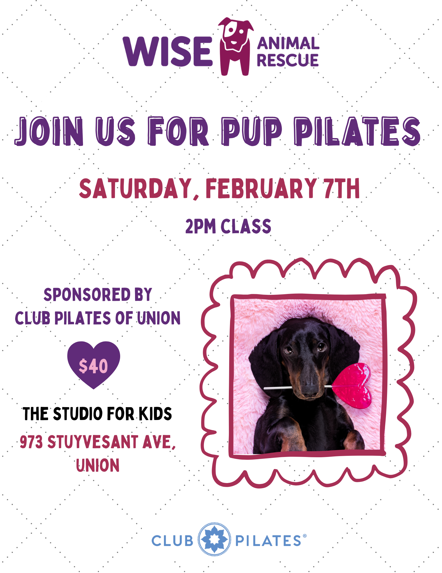 Puppy Pilates At Studio For Kids | Wise Animal Rescue