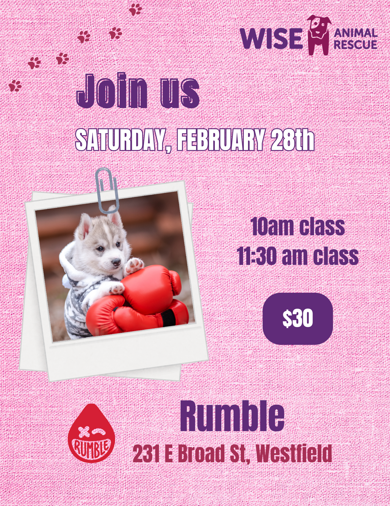 Rumble Paws And Punches | Wise Animal Rescue
