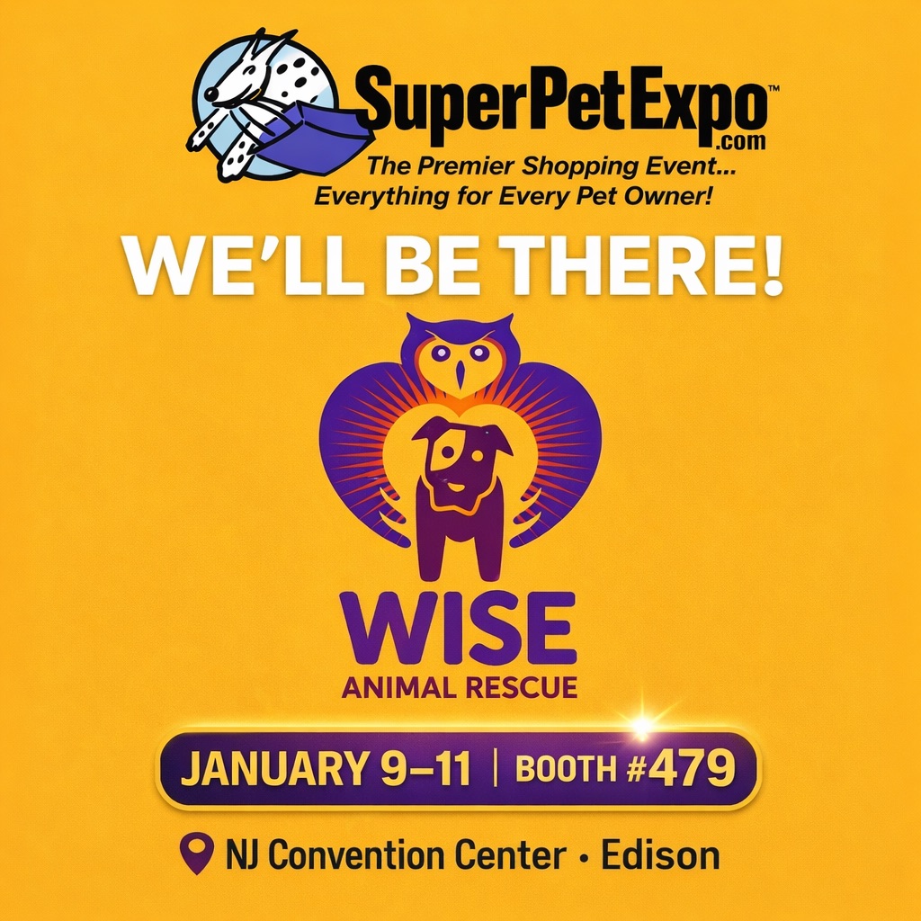 Wise At Super Pet Expo - Edison, NJ | Wise Animal Rescue