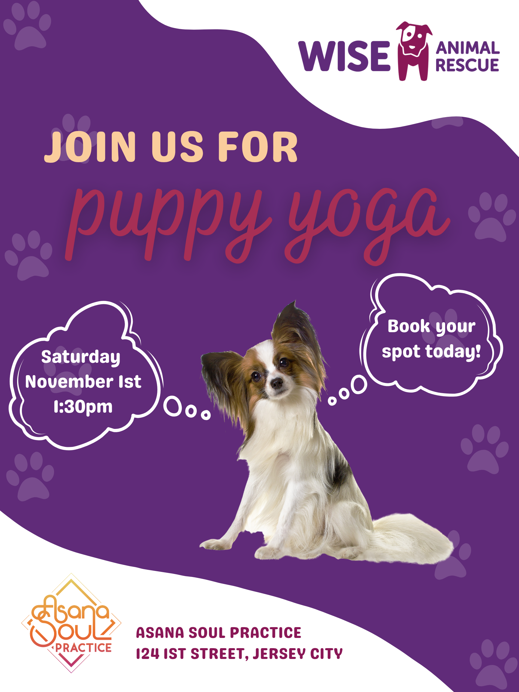 Asana JC Puppy Yoga | Wise Animal Rescue