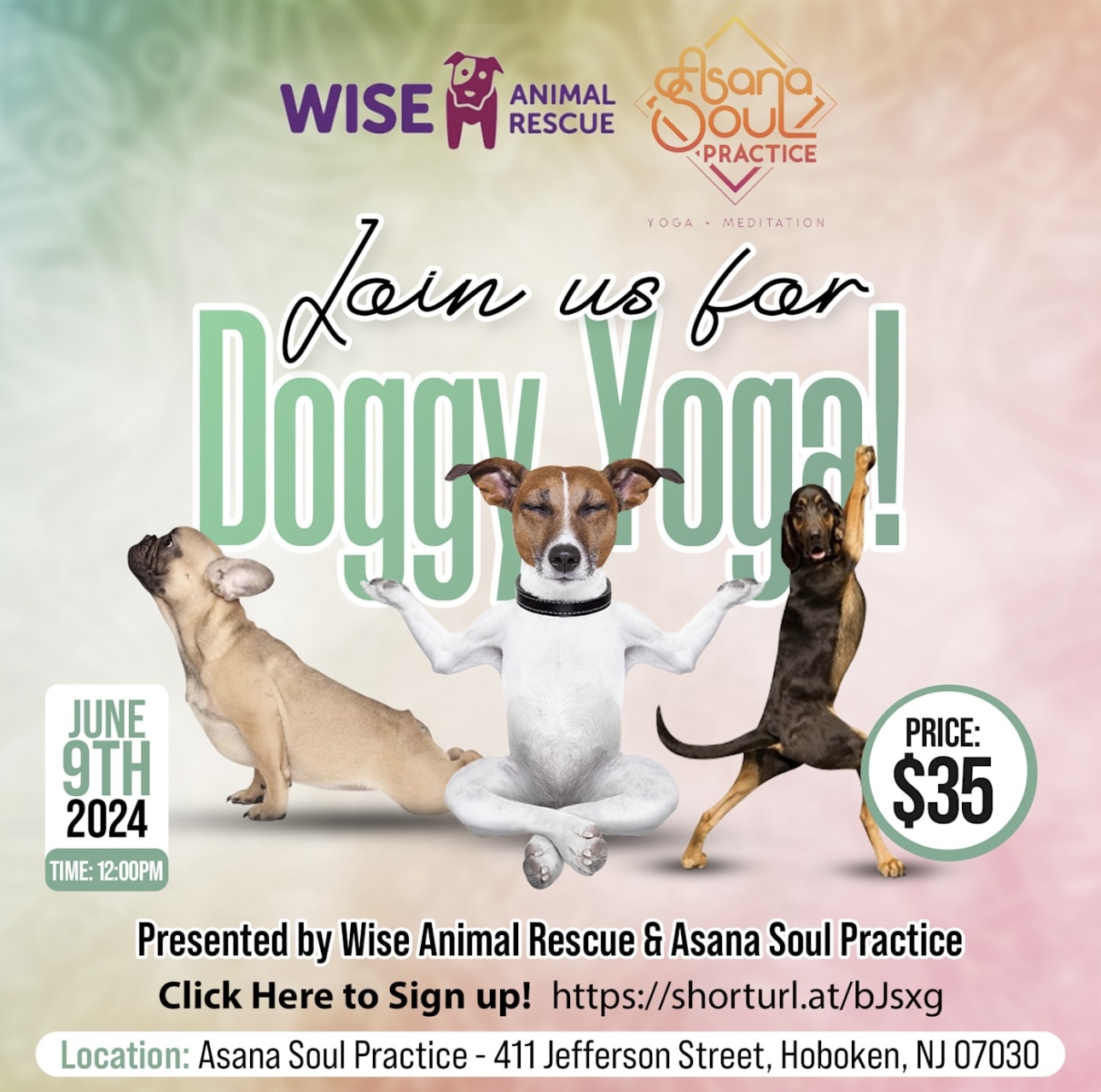 Doggy Yoga @ Asana Soul Practice | Wise Animal Rescue