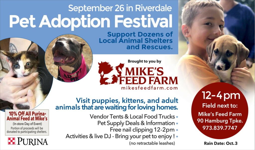 Pet Adoption Festival | Wise Animal Rescue
