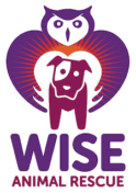 Adopt! Don't Shop | Rescue-Adopt-Foster | Wise Animal Rescue